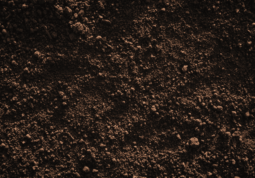 The Ultimate Guide to Carriff Drain-Sleeve Filter Sock: Optimizing Your ...