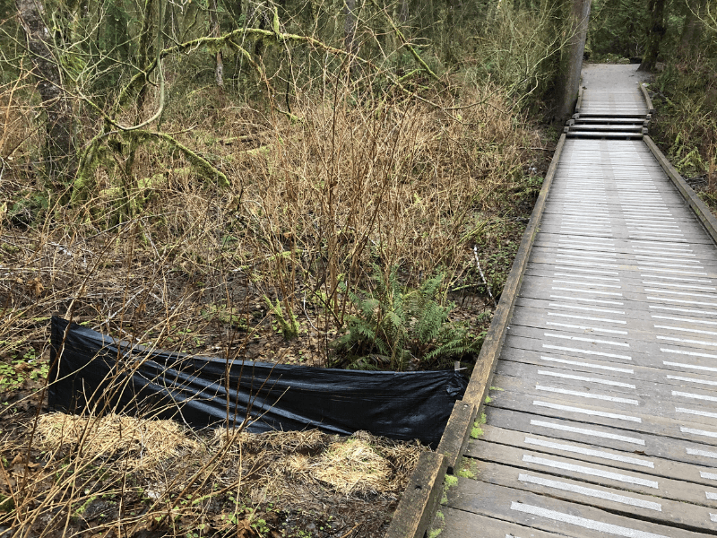 Erosion Control Fabrics: Essential Best Practices for Success | Carriff ...